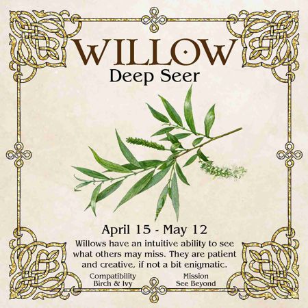Celtic Tree Zodiac - WILLOW, The Deep Seer - April 15 to May 12 ...