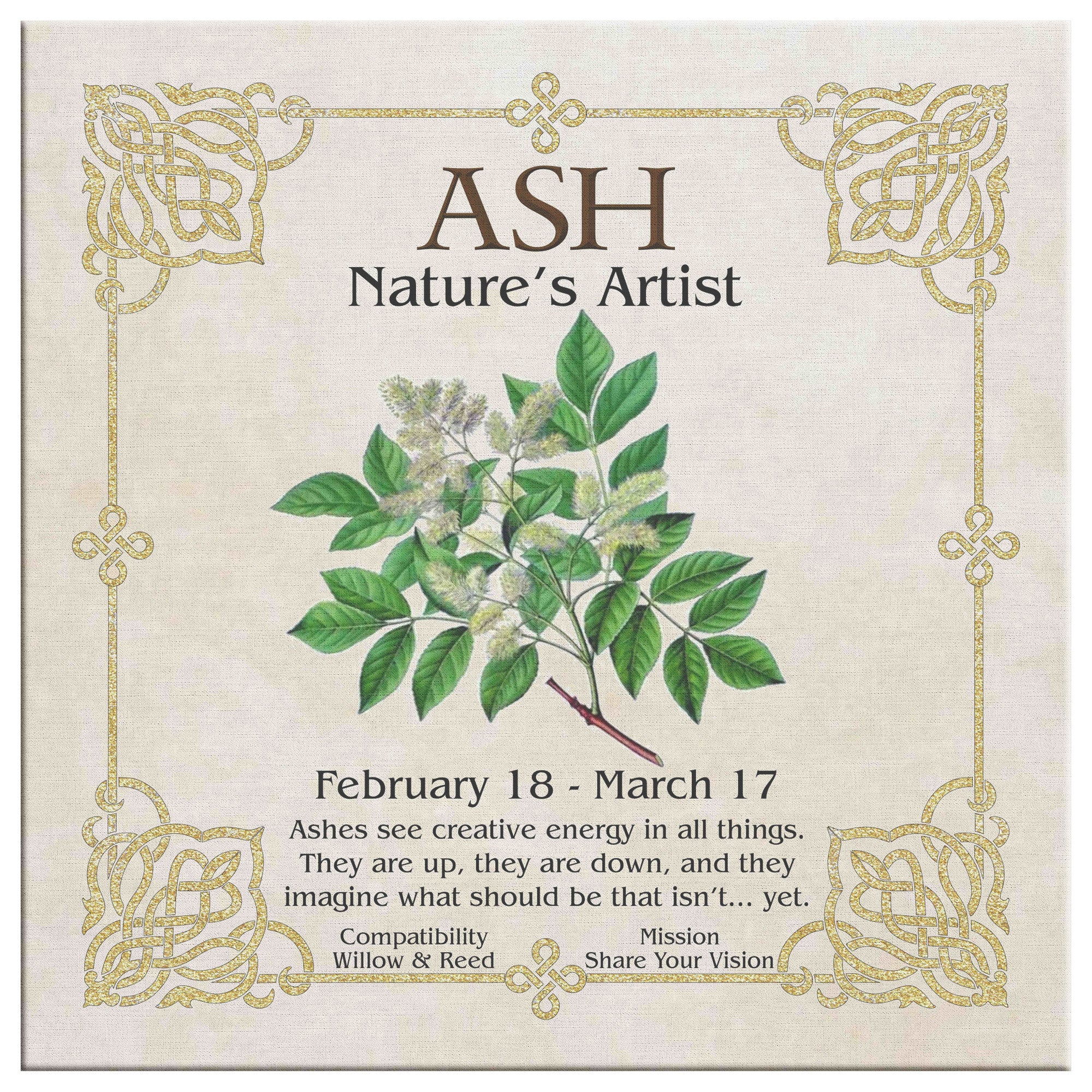 Ash celtic zodiac 60 photos - Youhoroscope.com